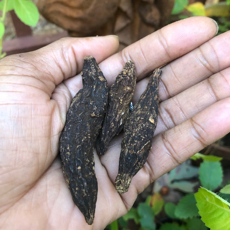 High John the Conqueror Root – house of lukaya